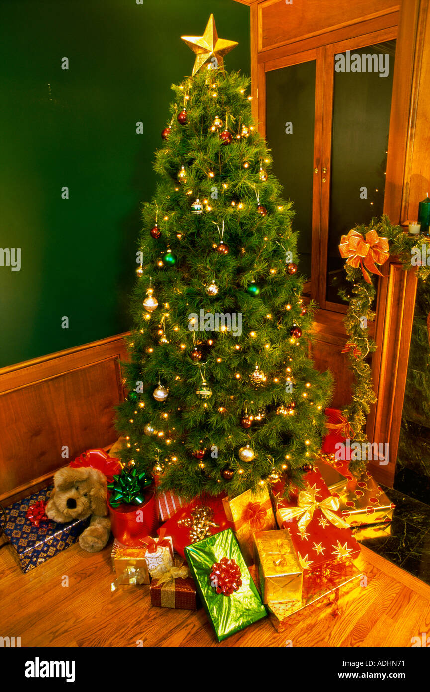 Group under a tree hi-res stock photography and images - Alamy