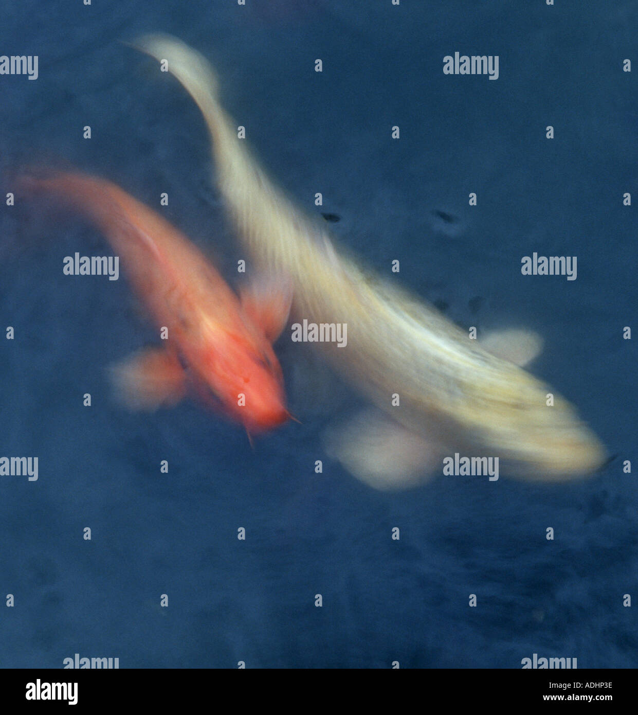 Swimming techniques hi-res stock photography and images - Alamy