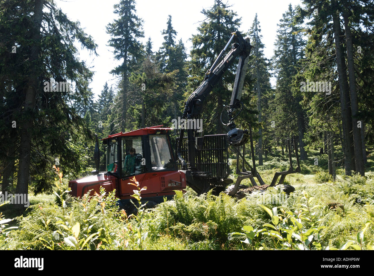 Forestry tractor loading trees in forest Stock Photo - Alamy