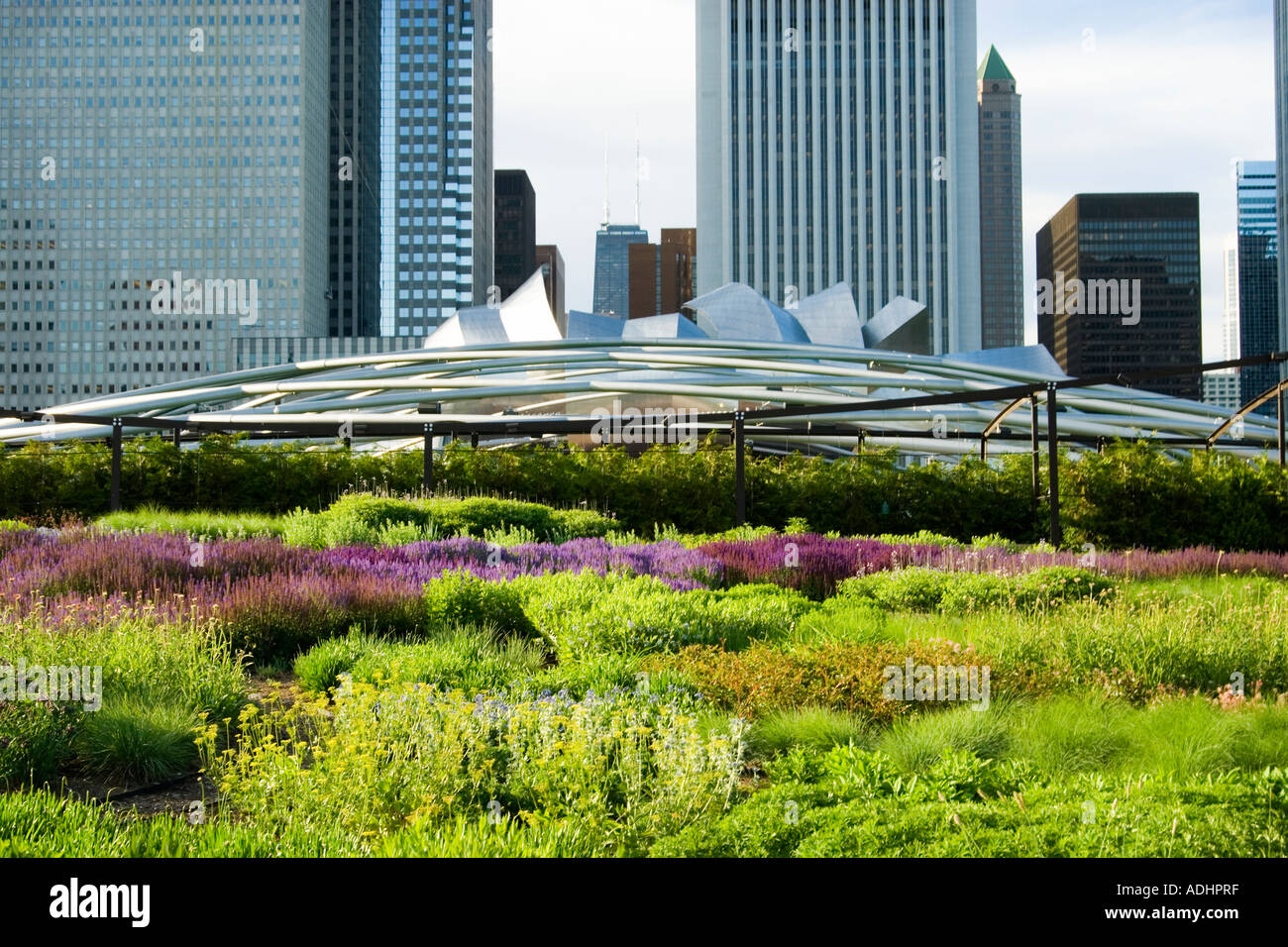 Chicago's Lurie Garden Looking North / Millennium Park Stock Photo - Alamy