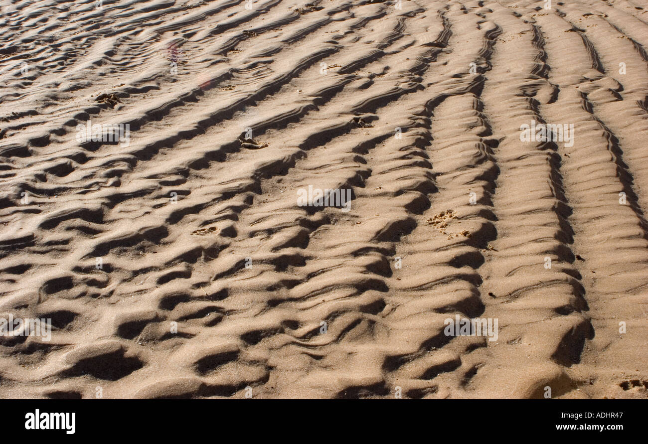 Family on the beach winter sandcastle hi-res stock photography and ...