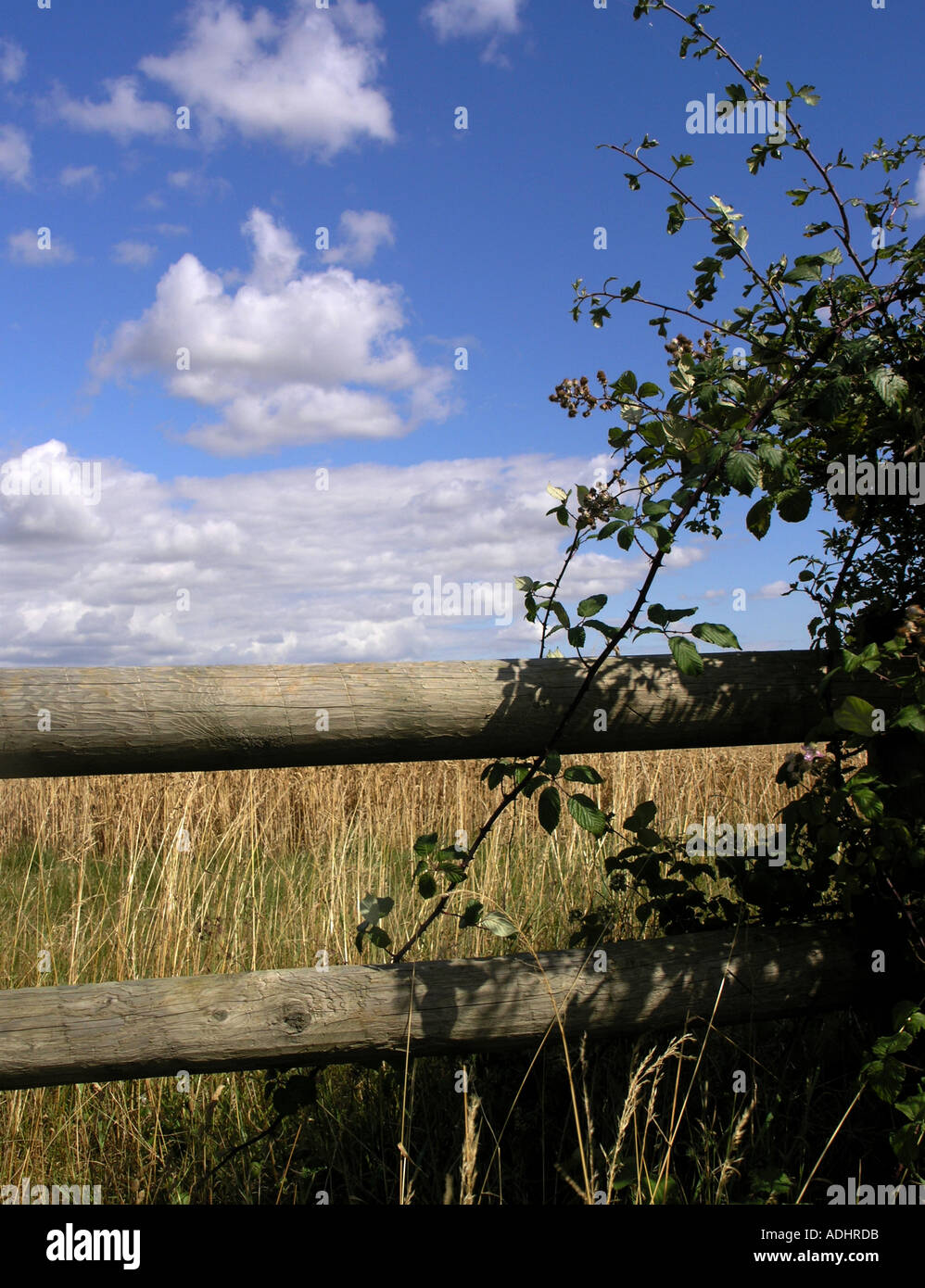 English field fence hi-res stock photography and images - Alamy