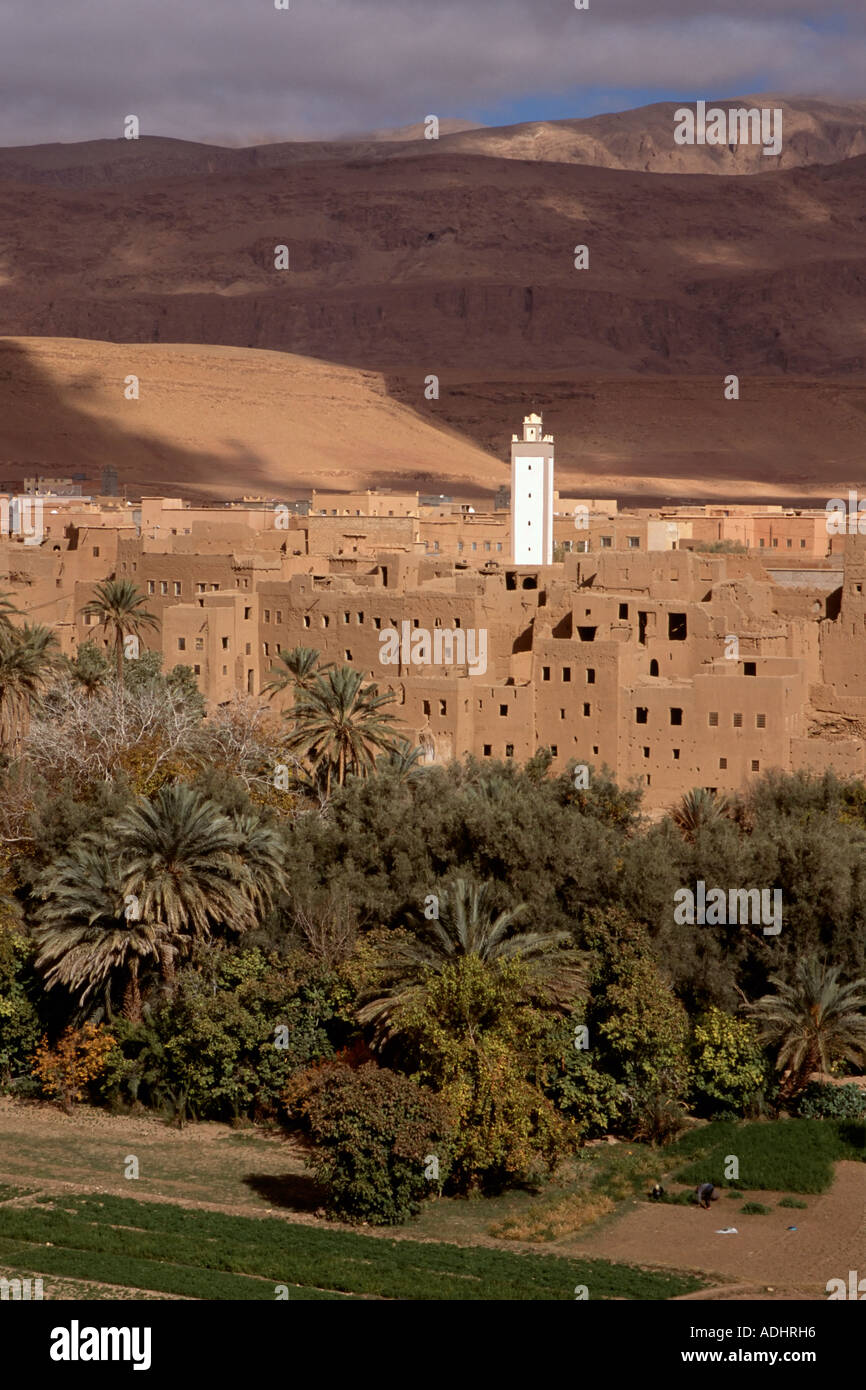 The oasis town of Tinerhir Morocco Stock Photo - Alamy