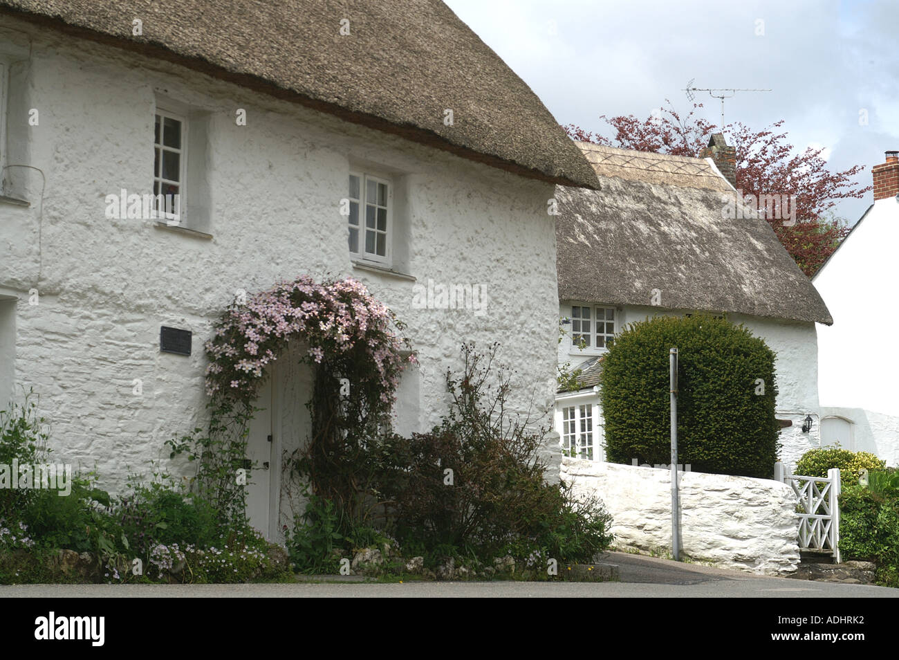 Thatched cottages at Feock Cornwall England U.K. Europe Stock Photo - Alamy