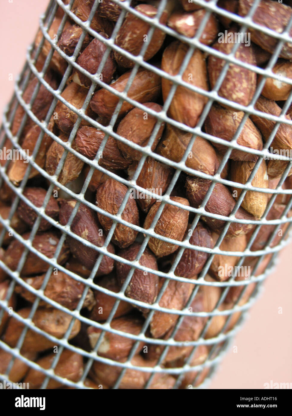 Nuts in wire mesh feeder hi-res stock photography and images - Alamy