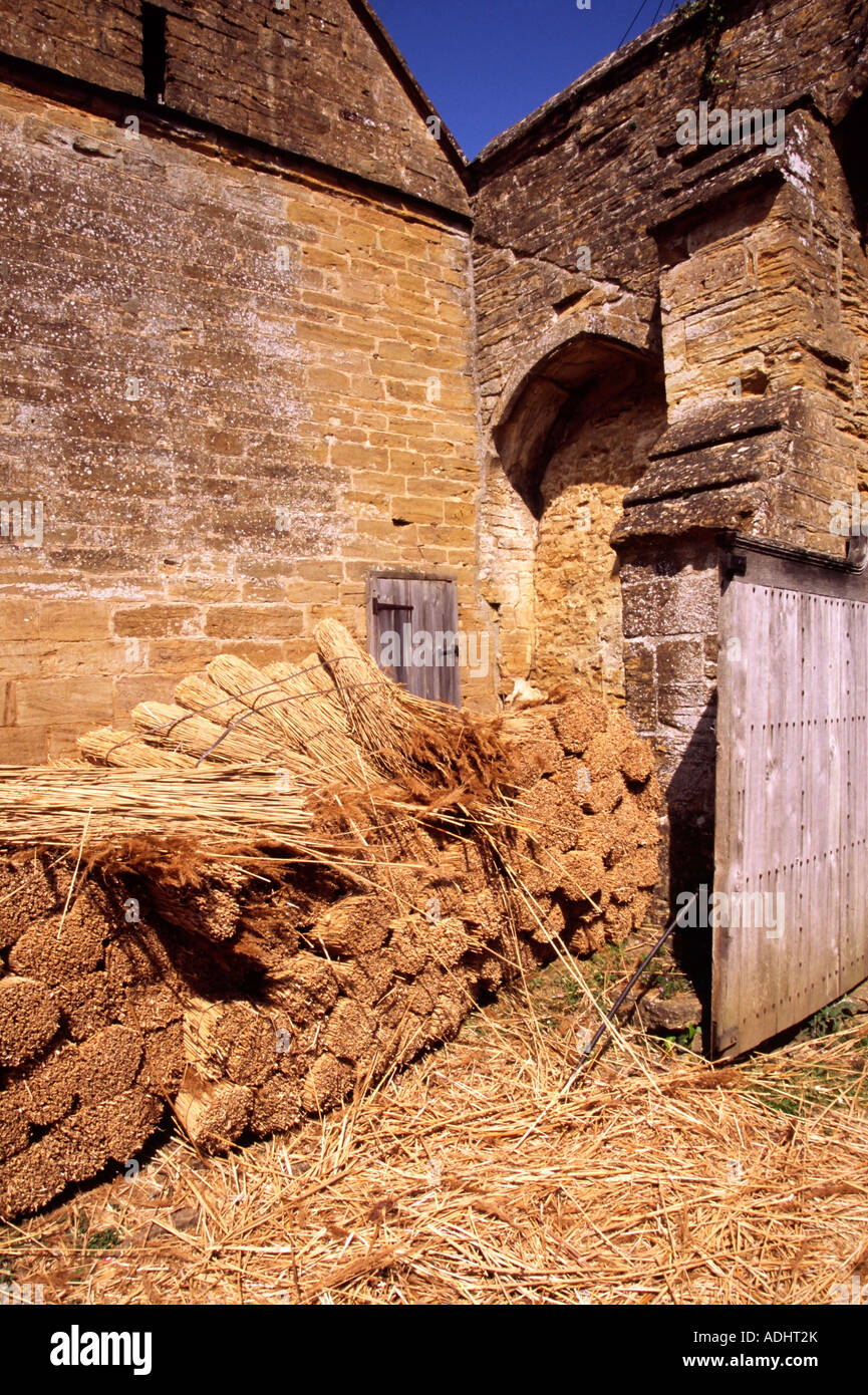 Renewing the thatch on a farm building at Stoke sub Hamdon in Somerset ...