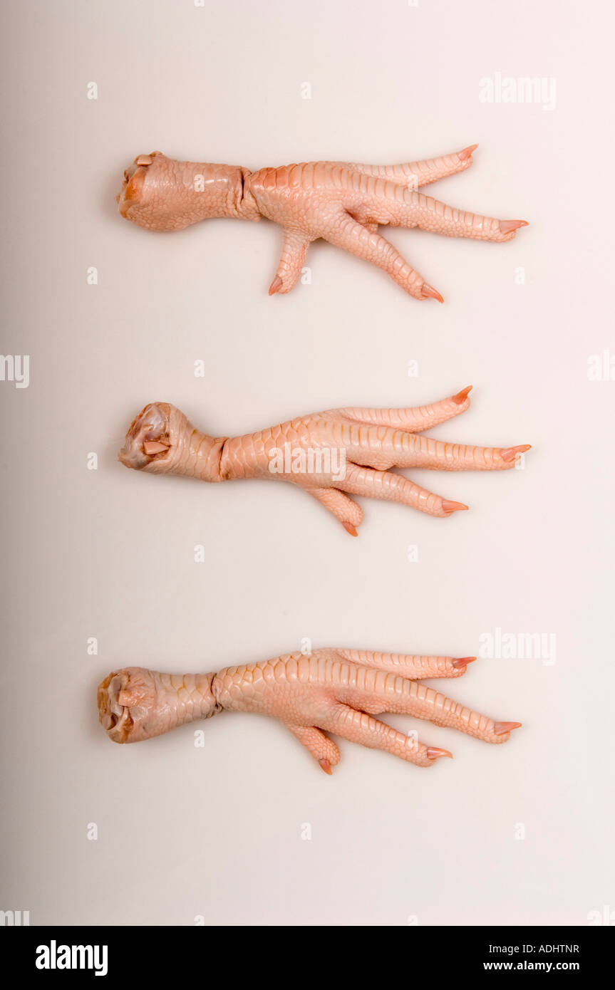 Chicken nail hi-res stock photography and images - Alamy