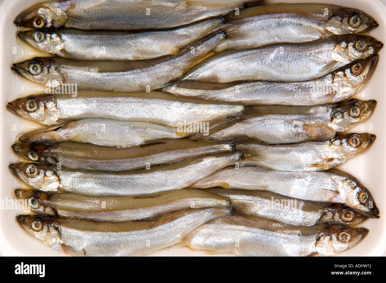 Tray of dead fish Stock Photo - Alamy