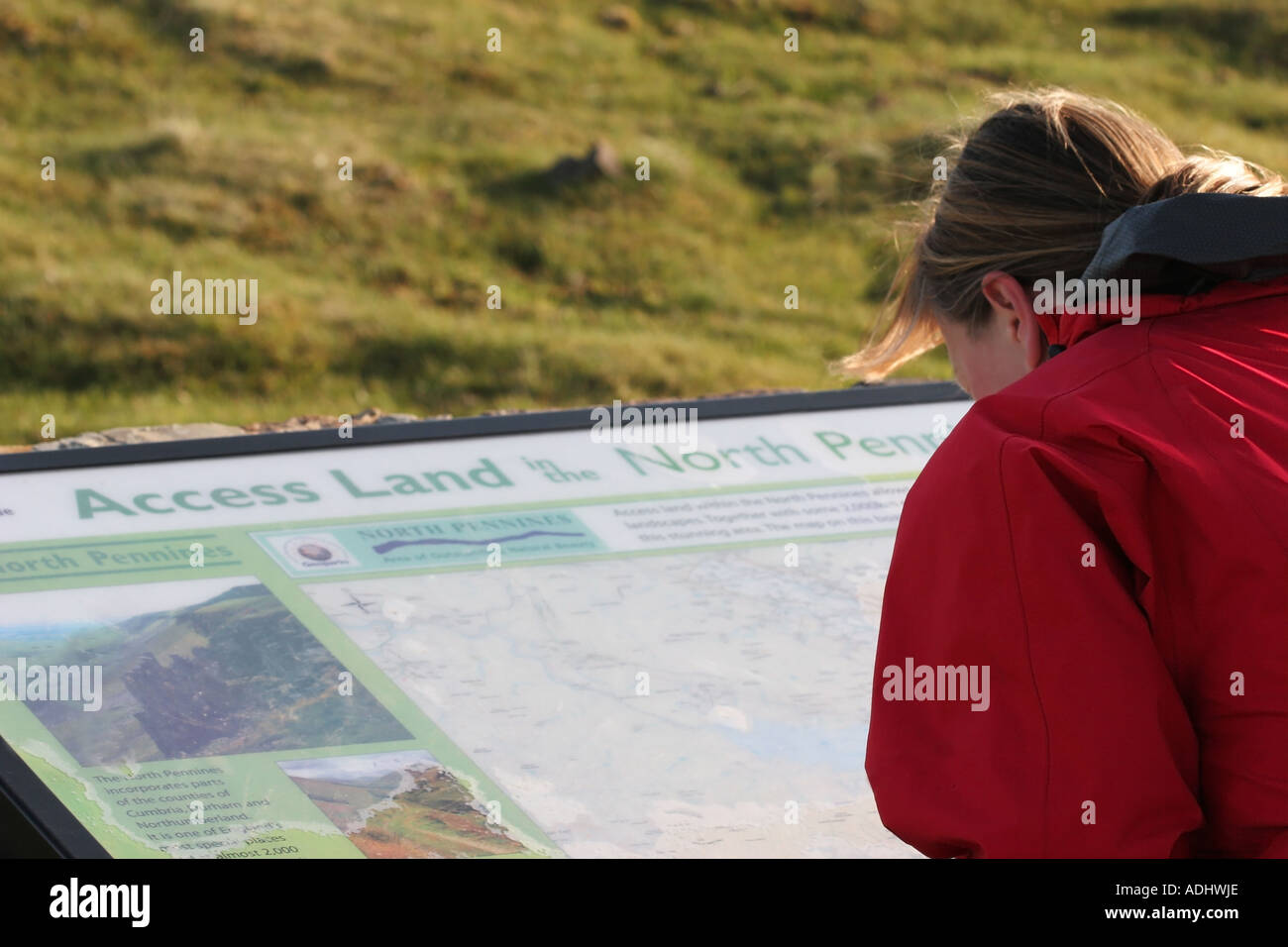 Female walker checking map hi-res stock photography and images - Alamy