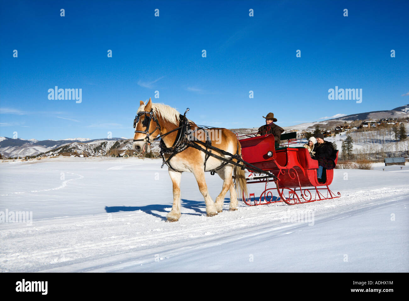 Sleigh ride through winter landscape Stock Photo - Alamy