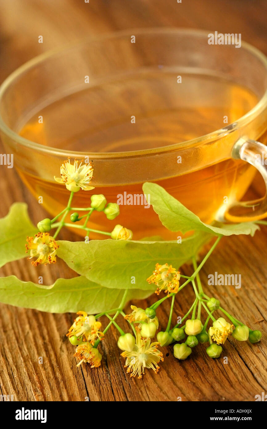 Leaves of linde tree hi-res stock photography and images - Alamy