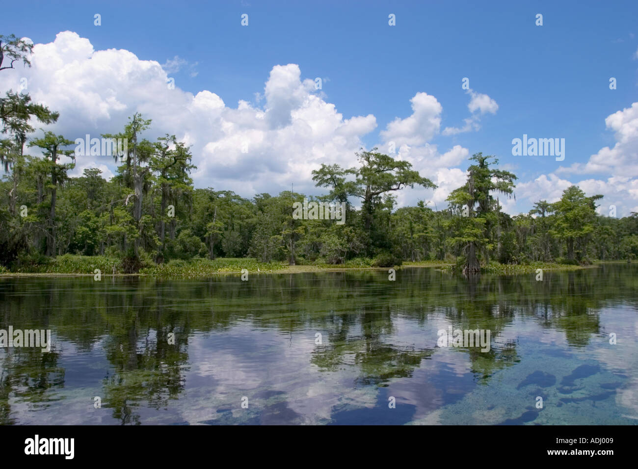Wakulla River in Wakulla Springs State Park in the Panhandle region of ...
