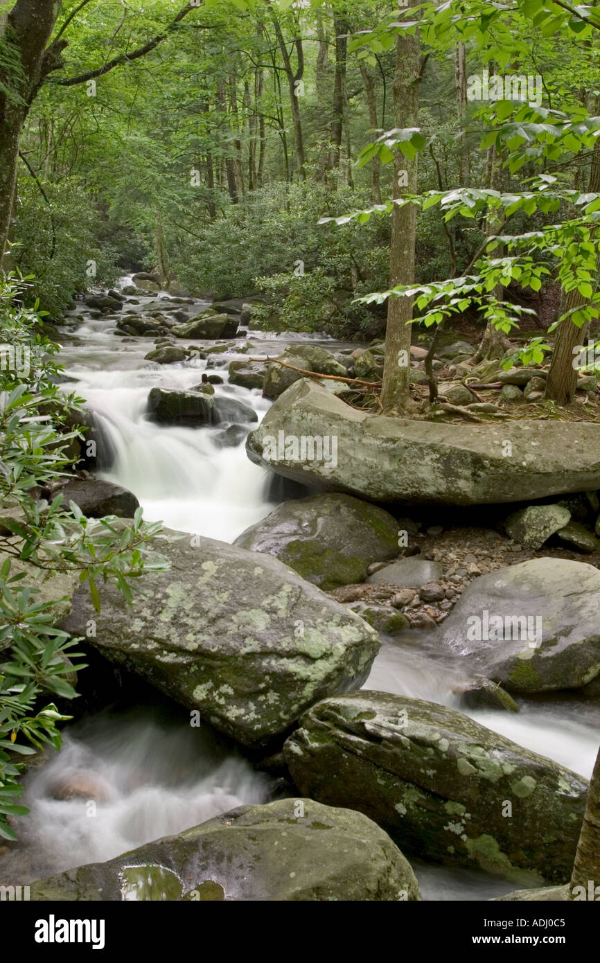 Roaring Fork stream on the Roaring Fork Motor Nature Trail in the Great ...