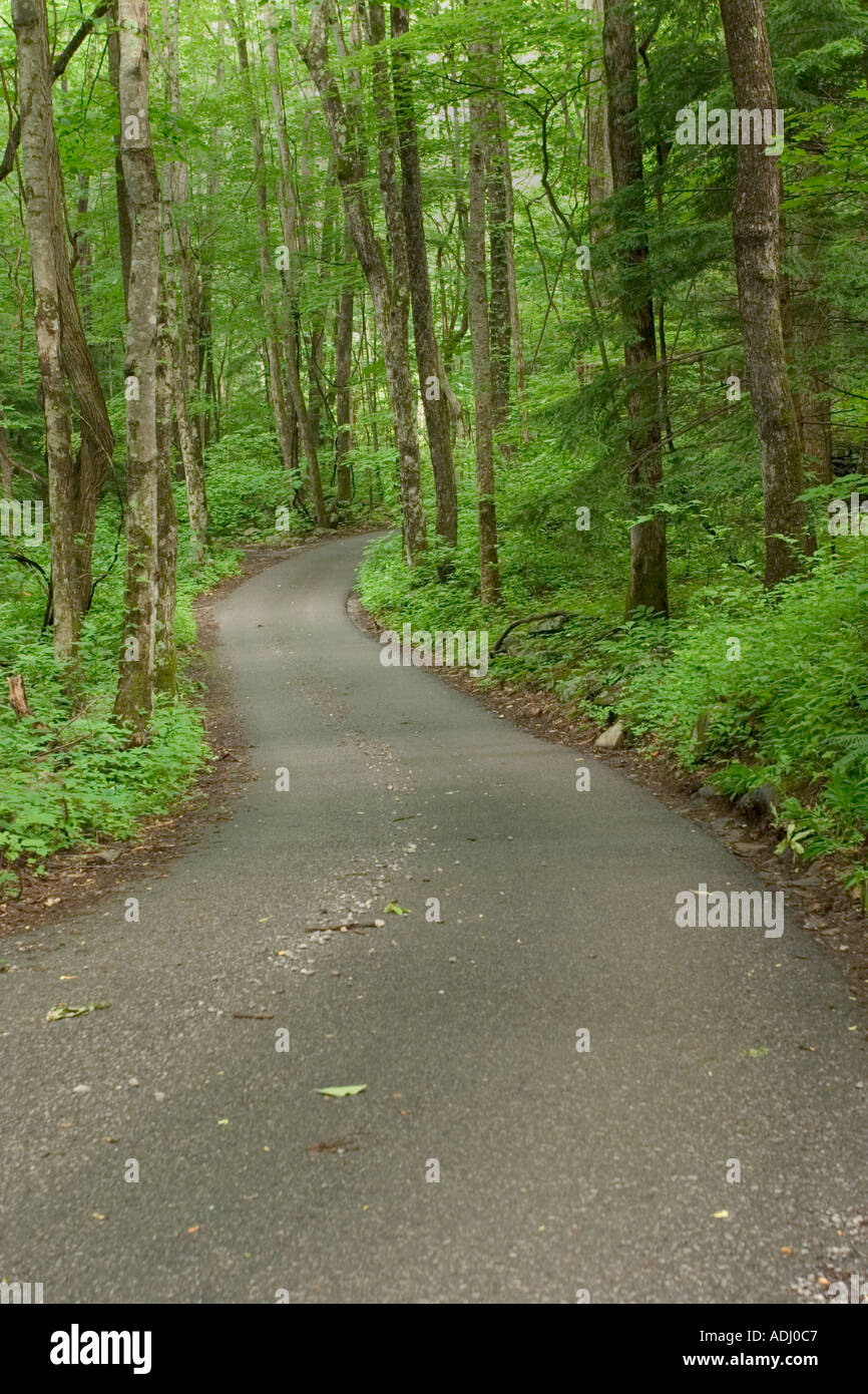 Roaring Fork Motor Nature Trail in the Great Smoky Mountains National ...