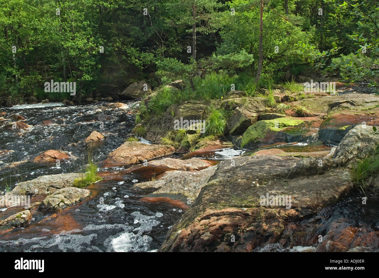 Small water fall in the river Assman Halland Sweden Stock Photo - Alamy