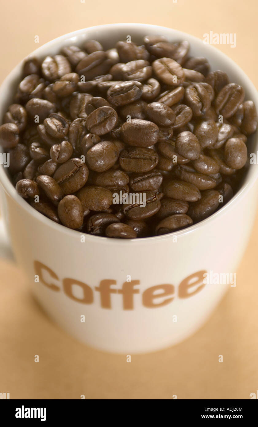 Coffee beans logo cafe hi-res stock photography and images - Alamy