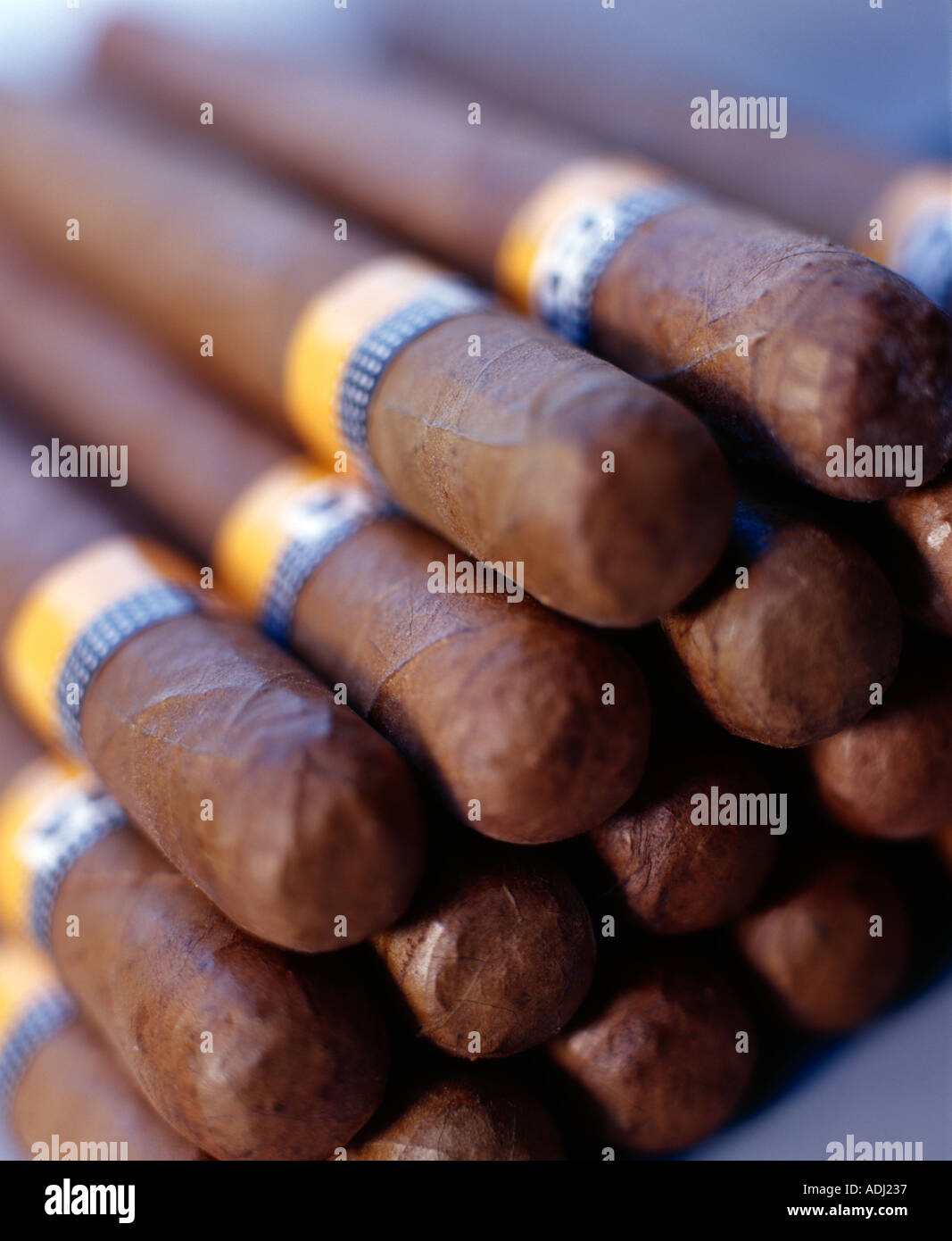 Cigars High Resolution Stock Photography and Images - Alamy