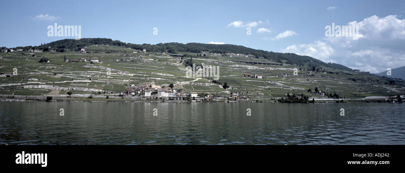 vineyards riviera vaudoise Stock Photo - Alamy