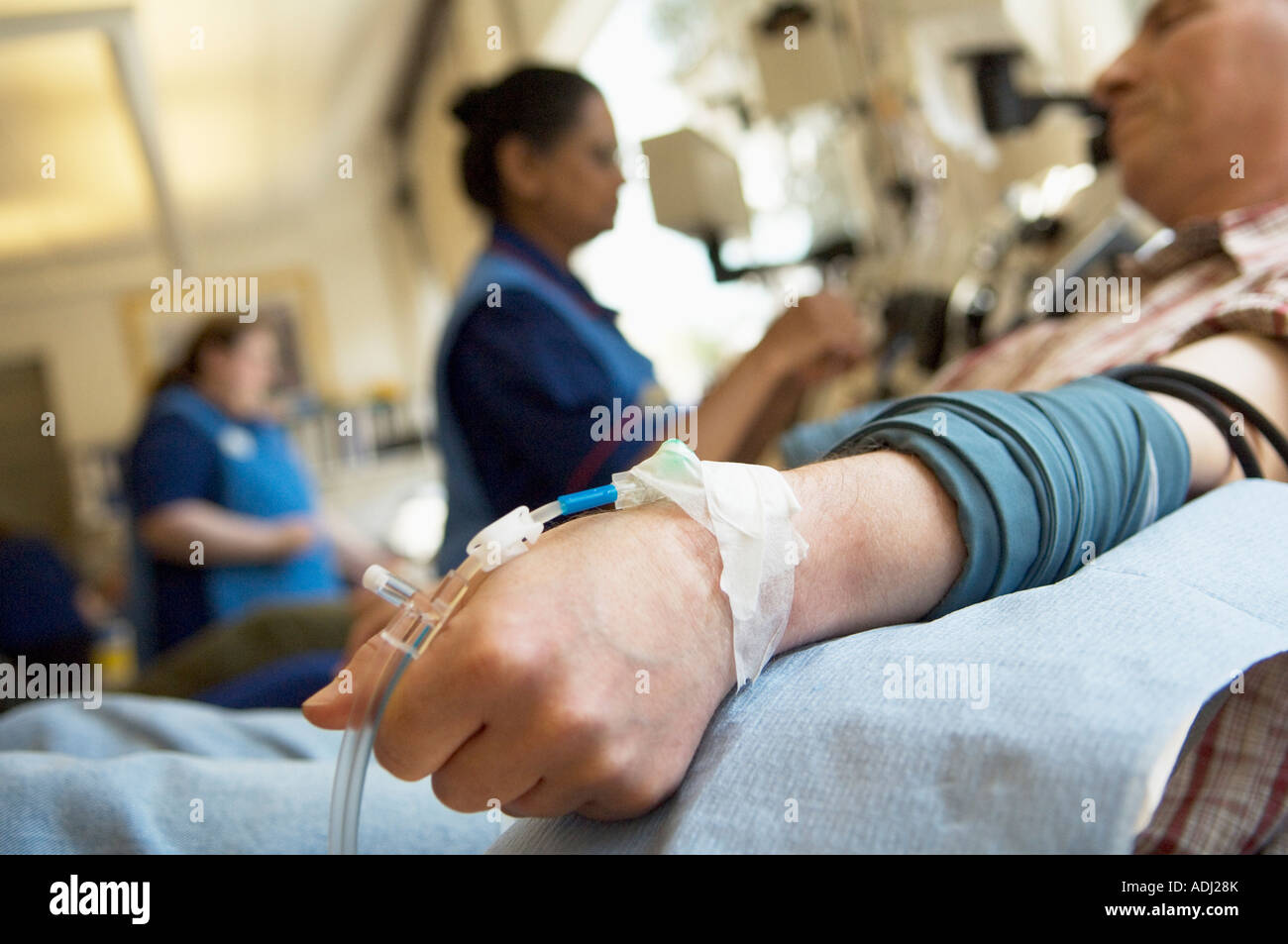 A nurse prepares a donor to give platelets useful for bone marrow ...
