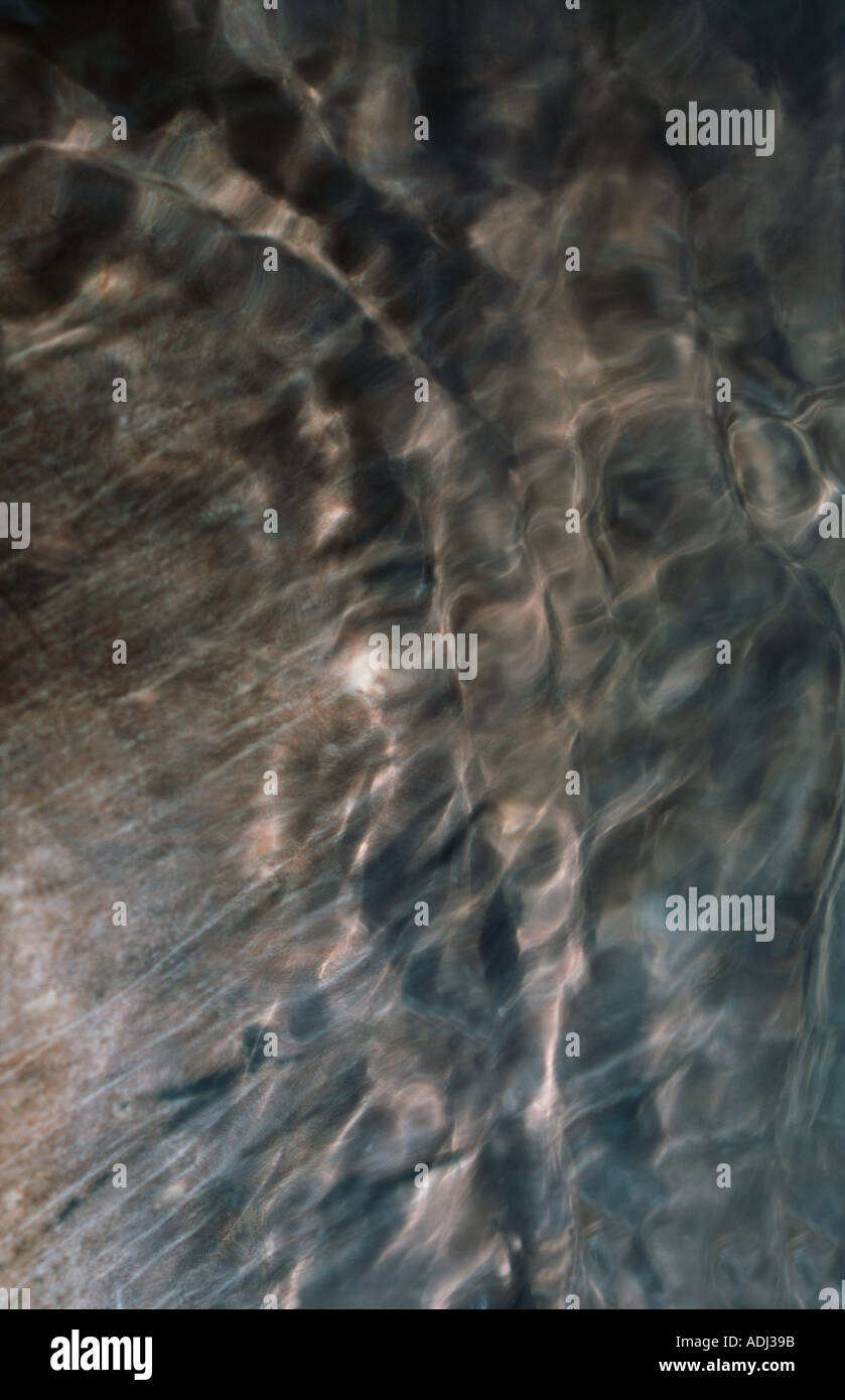 riverbed rock face through river water Stock Photo - Alamy