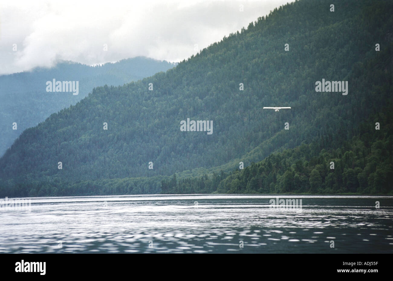 A hydroplane is flying above the Teletskoye lake Altai Russia Stock ...