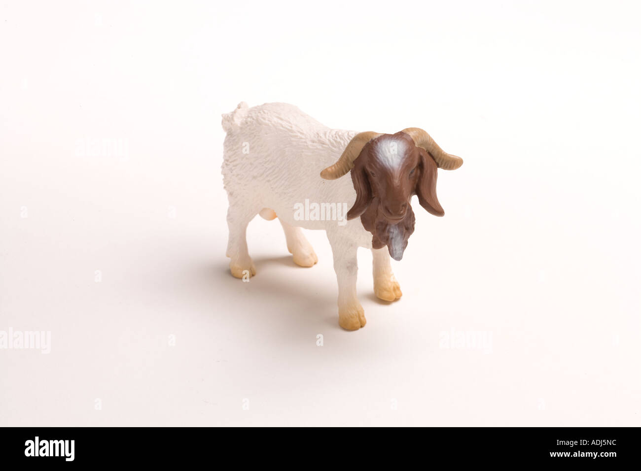 Miniature animals hi-res stock photography and images - Alamy