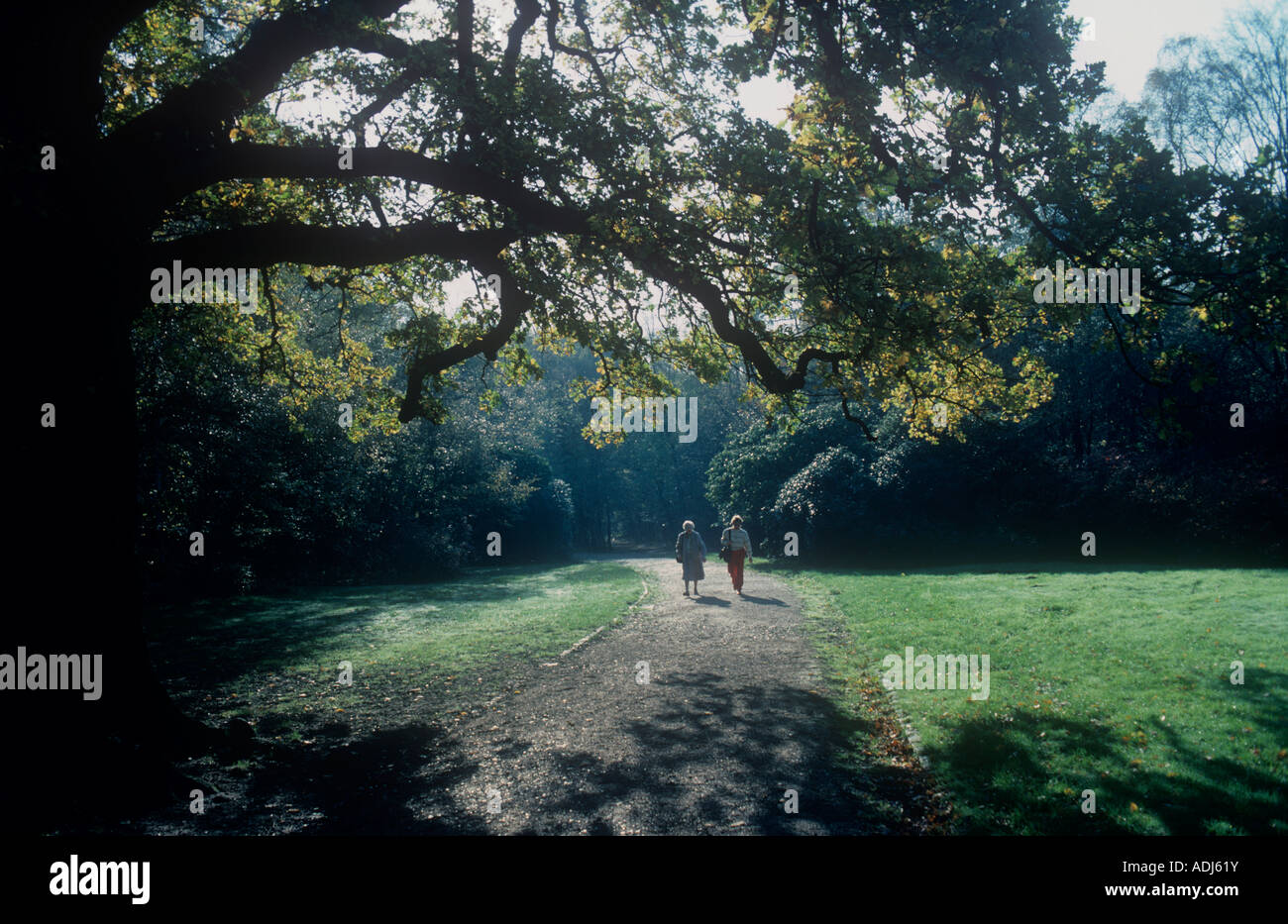 Autumn Parkland Enfield Middlesex Stock Photo - Alamy