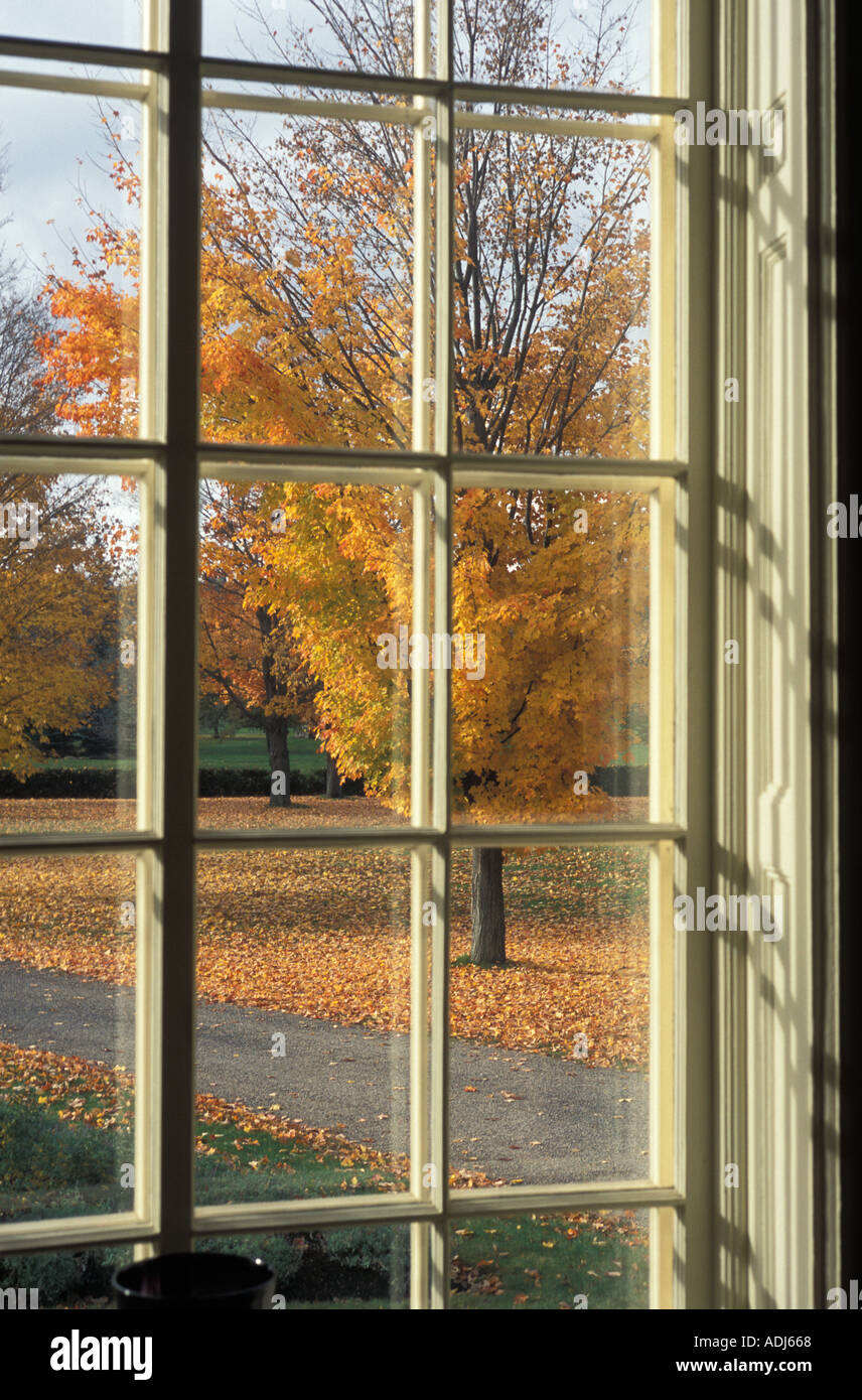 Lattice Window 803 Old Lattice Window Stock Photos, High Res Pictures,