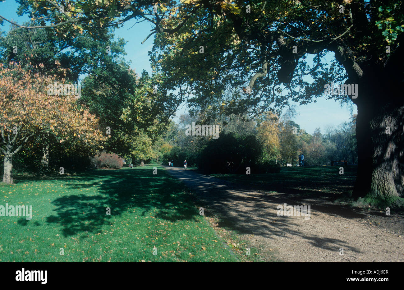 Autumn Parkland Enfield Middlesex Stock Photo - Alamy