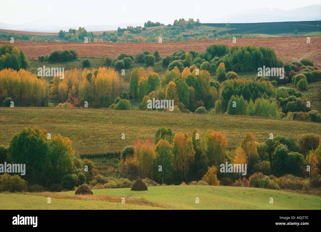 Grain harvesting campaign hi-res stock photography and images - Alamy