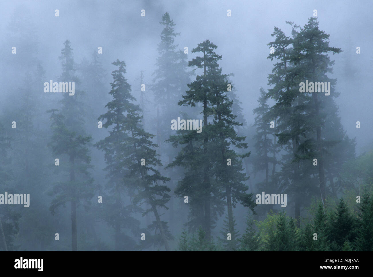 Clackamas river hi-res stock photography and images - Alamy