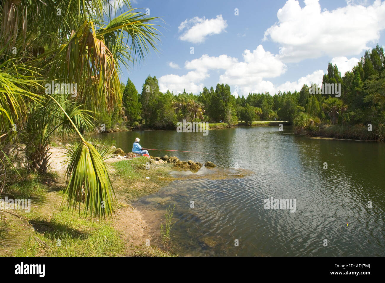 Suwanee river waterway water flora trees palms woman fishing hi-res ...