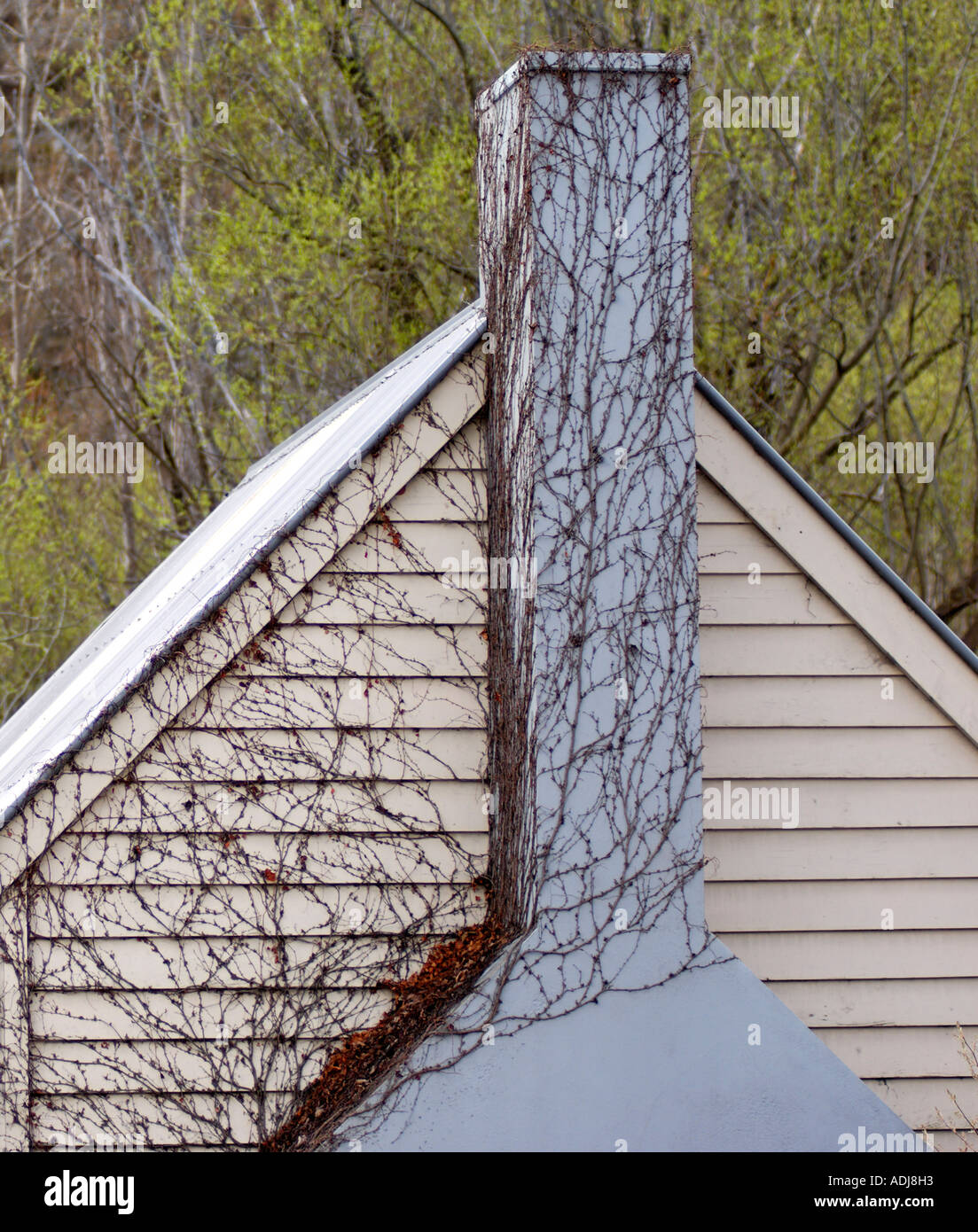 Timber tlc hi-res stock photography and images - Alamy