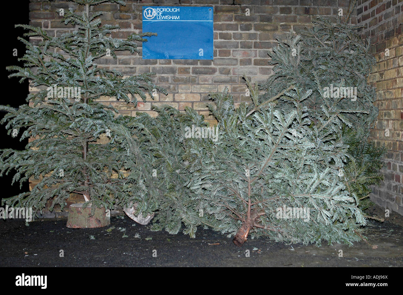 Dumped Christmas Trees in South East London England Stock Photo - Alamy