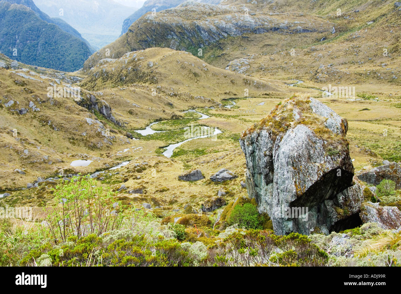 New Zealand South Island the Routeburn Track One of the Great Walks of ...