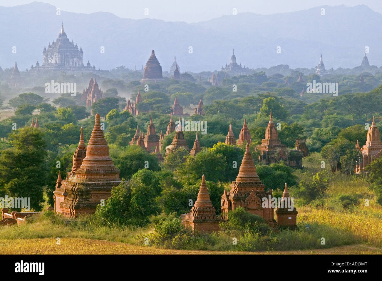 Burma jungle hi-res stock photography and images - Alamy