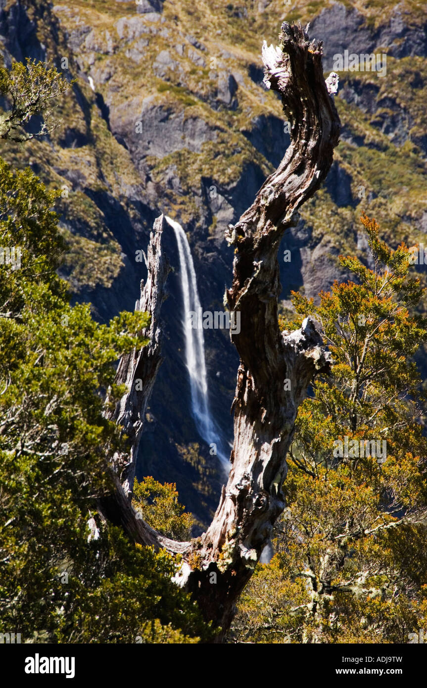 New Zealand South Island Earland Falls 174m on the Routeburn Track ...
