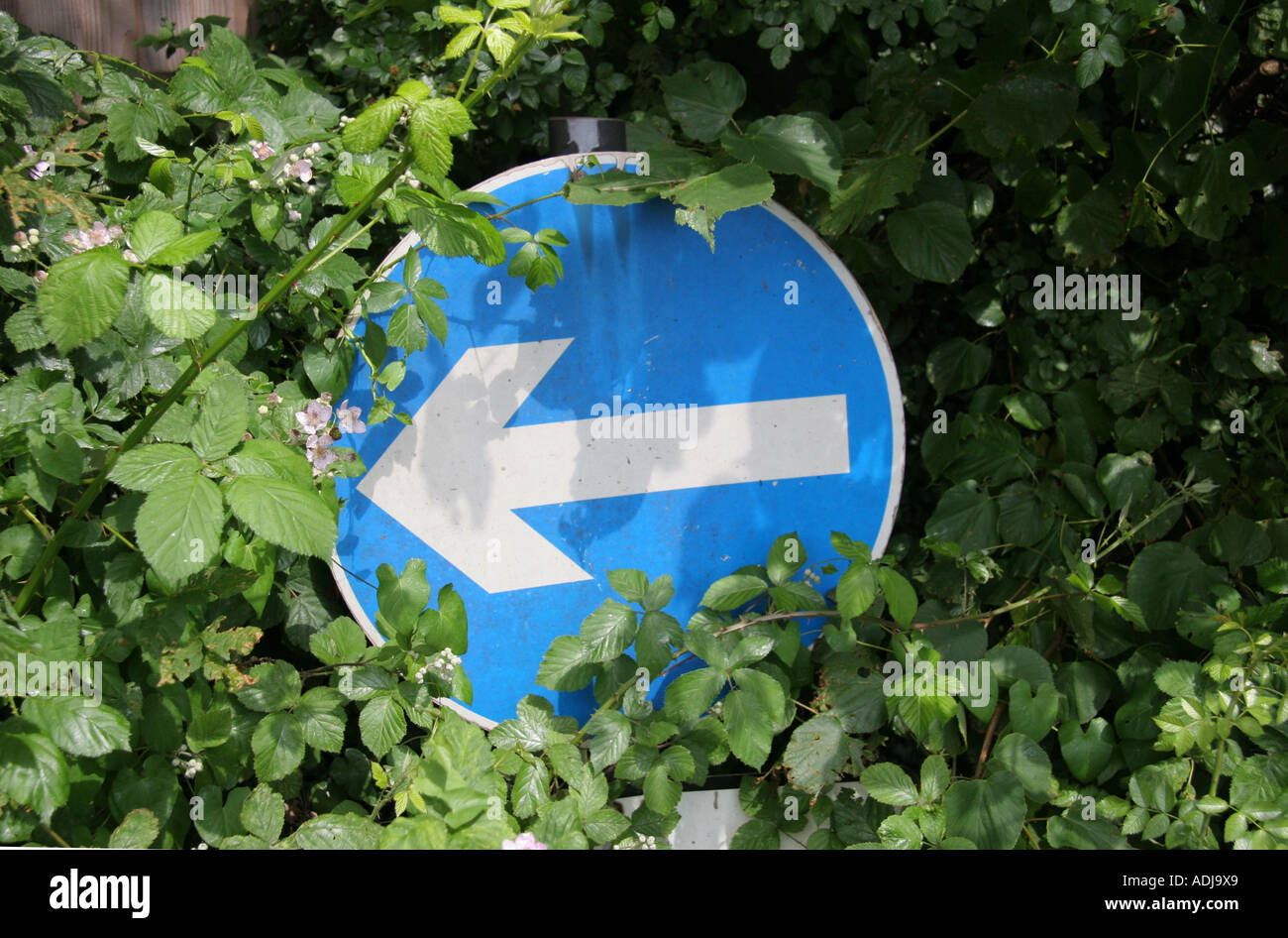 Direct sign hi-res stock photography and images - Alamy
