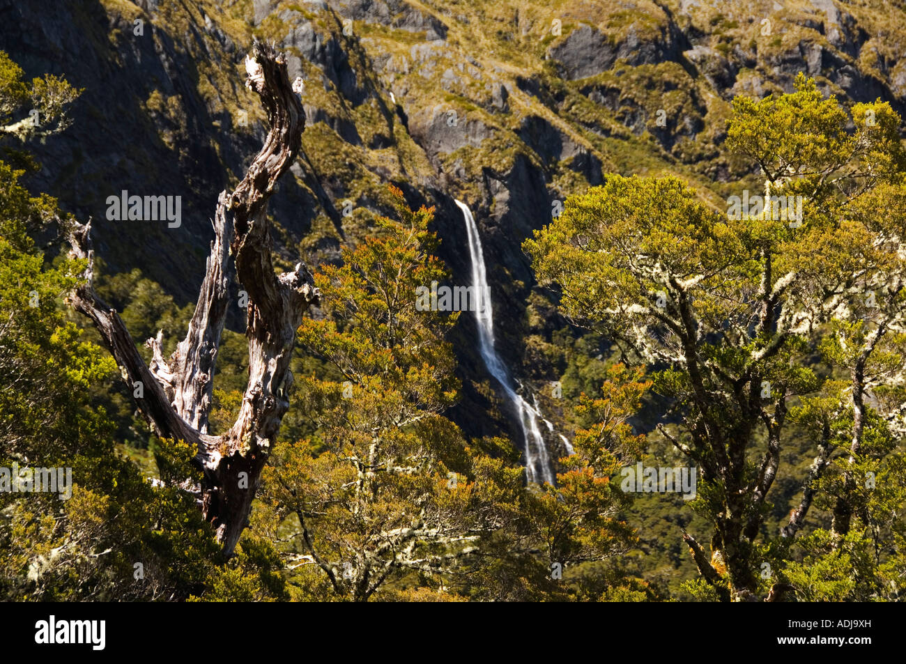 New Zealand South Island Earland Falls 174m on the Routeburn Track ...