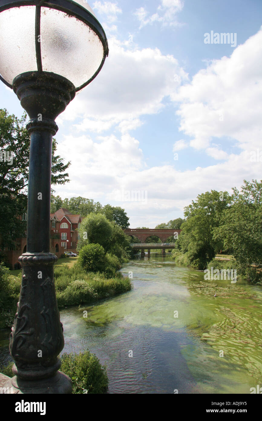 River Mole Surrey High Resolution Stock Photography and Images - Alamy