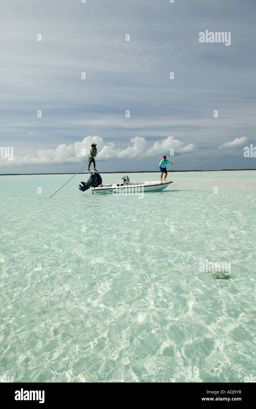 Colorful bahamian fish hi-res stock photography and images - Alamy