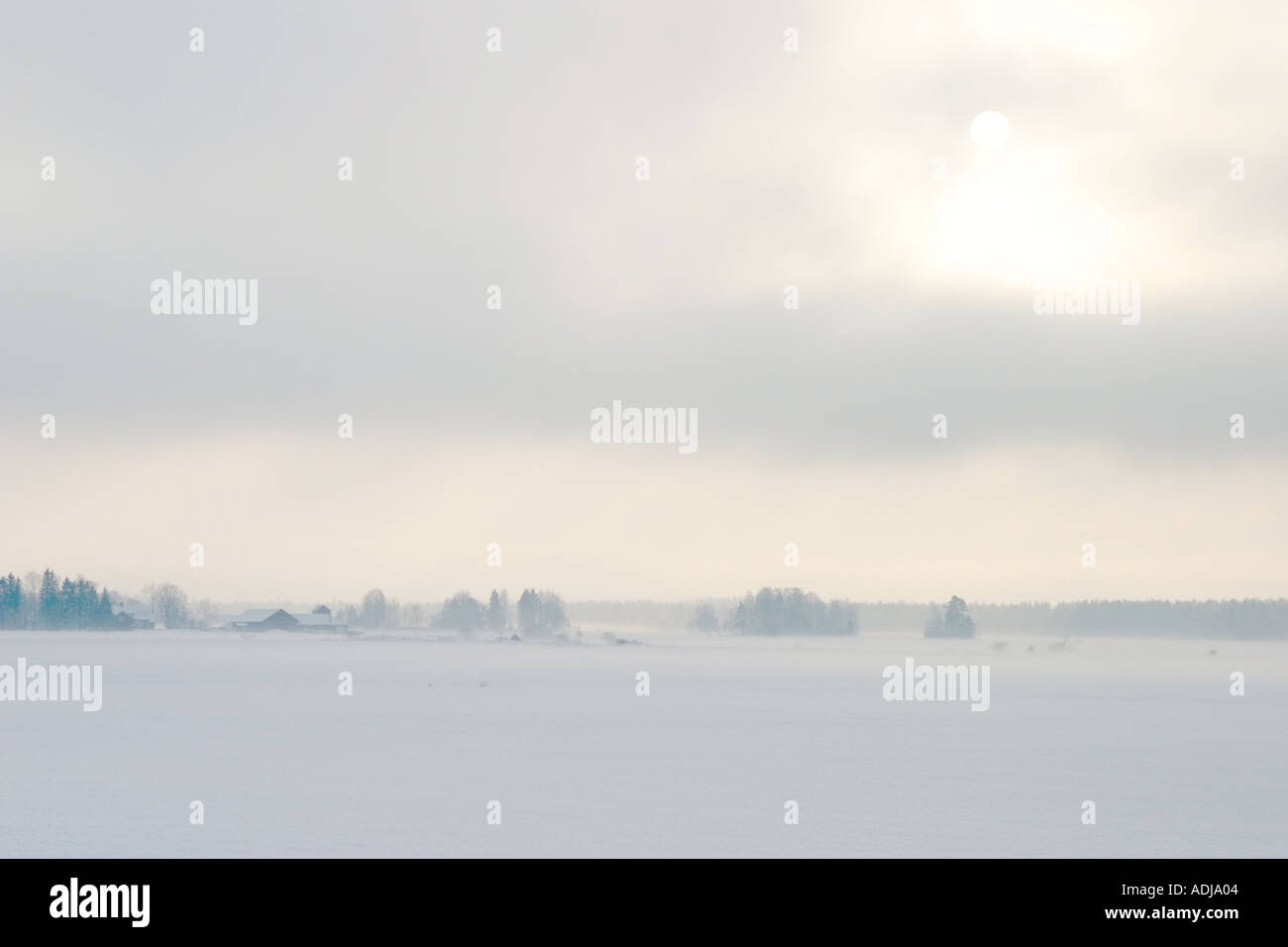 Bitter cold winter landscape in pale light Stock Photo - Alamy