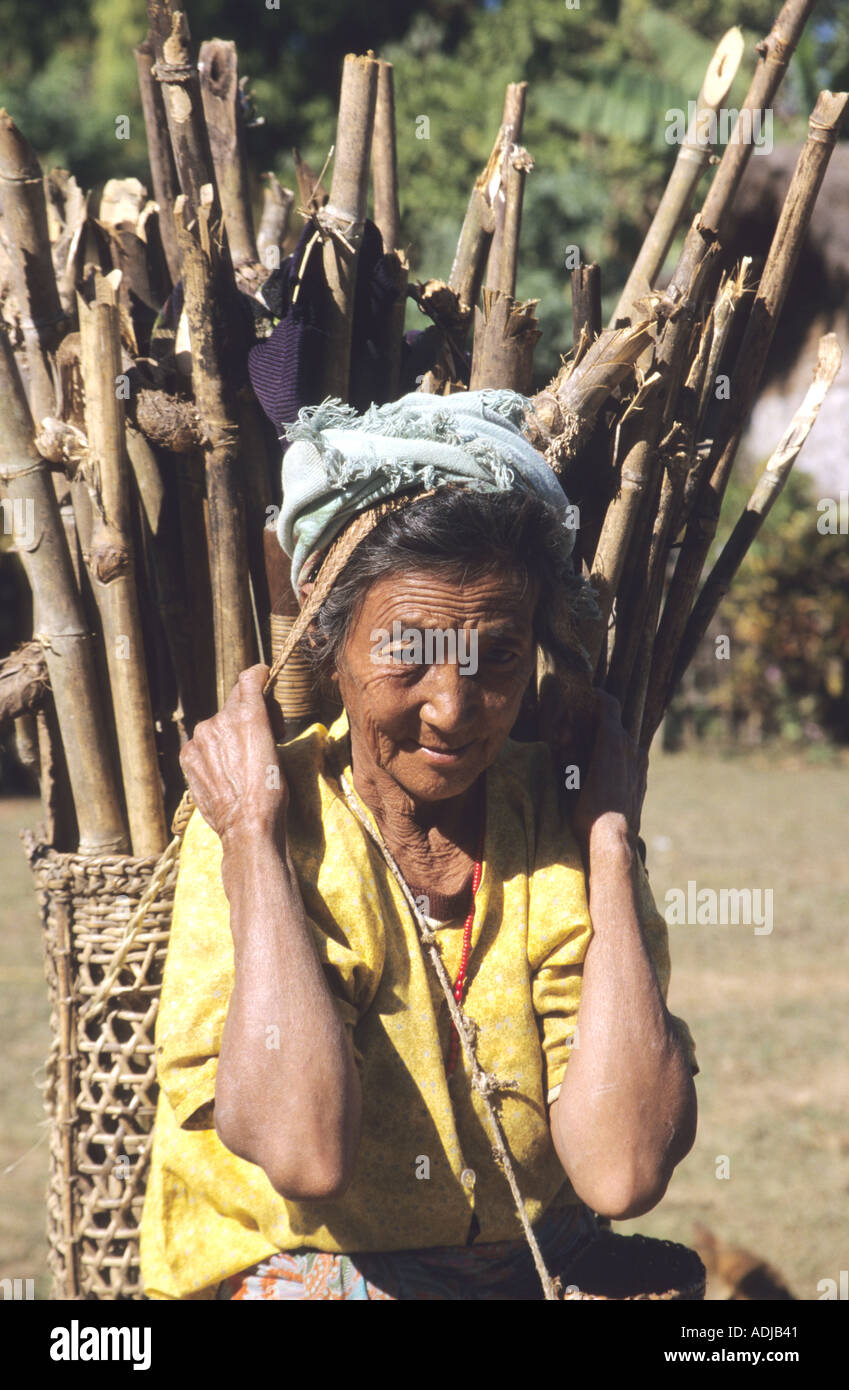 Woman carrying firewood in Burma Myanmar Stock Photo - Alamy
