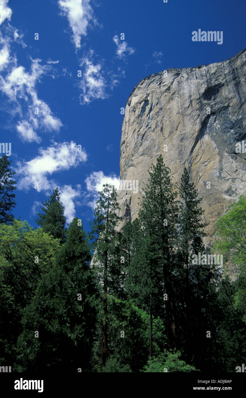 USA CALIFORNIA El Capitan Stock Photo - Alamy
