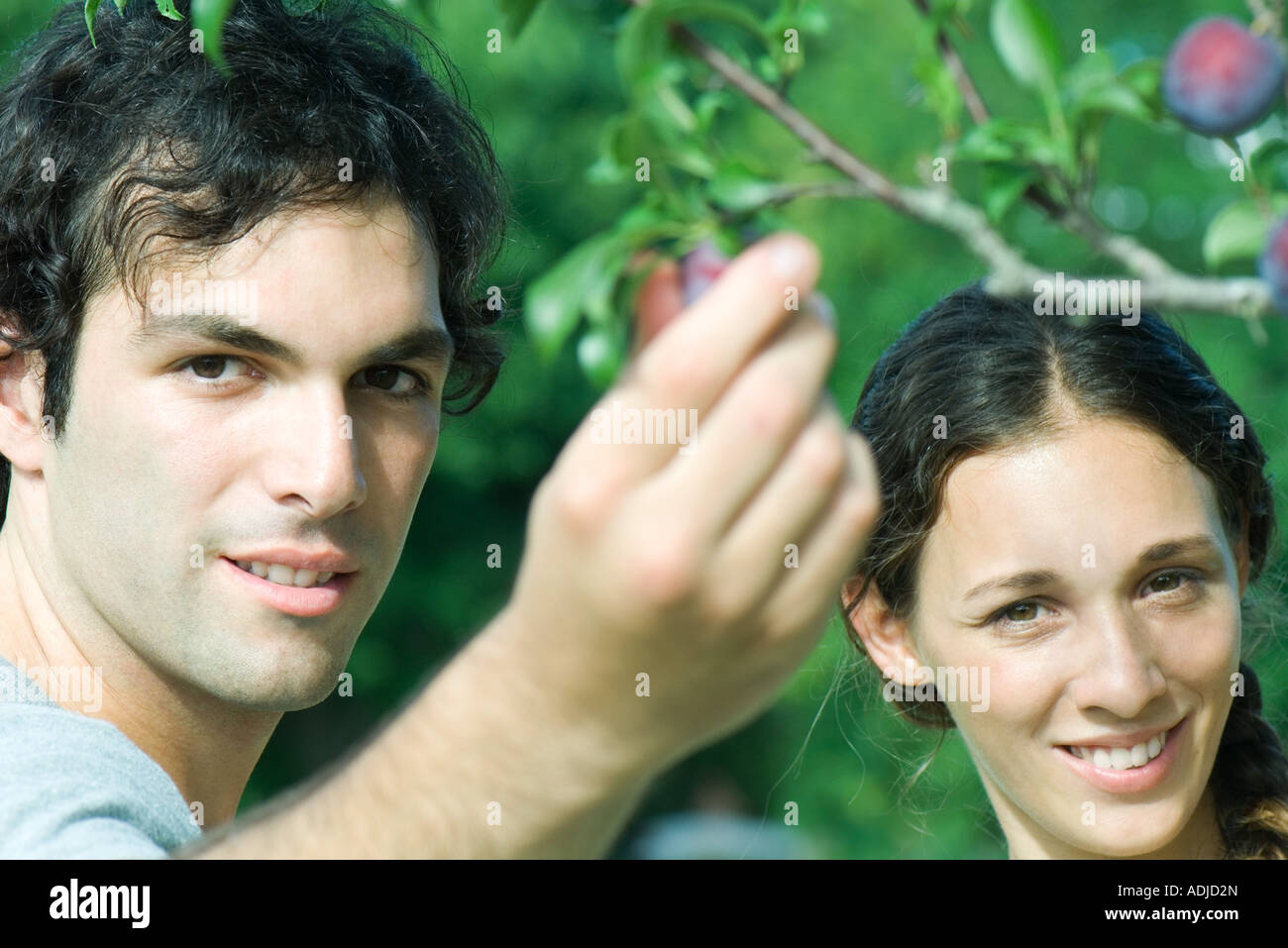 Man eating plum hi-res stock photography and images - Alamy