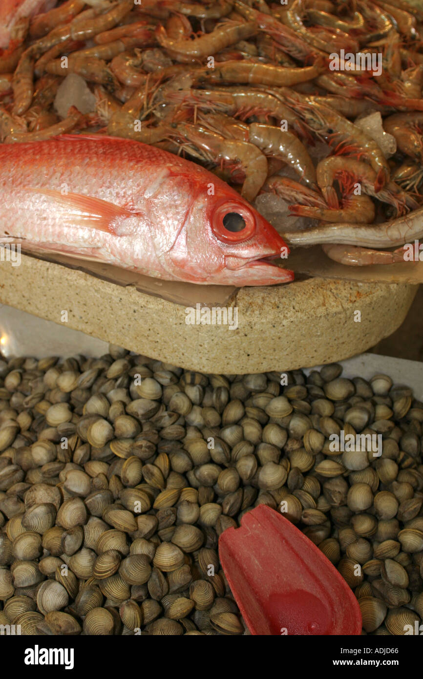 Sea food for sale at a fish mongers fish market fish stall Stock Photo ...