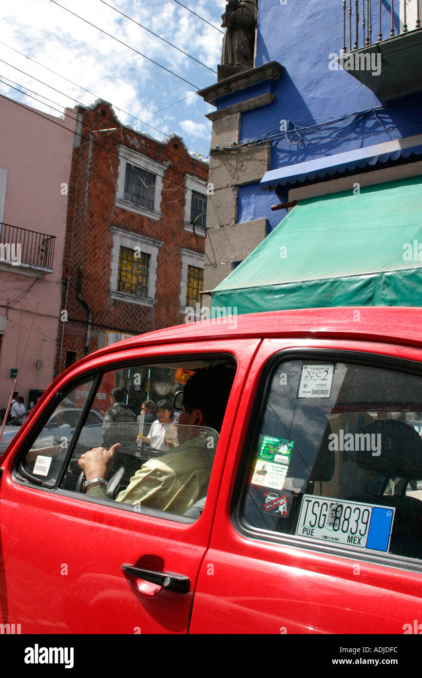 Bright coloured beetle hi-res stock photography and images - Alamy
