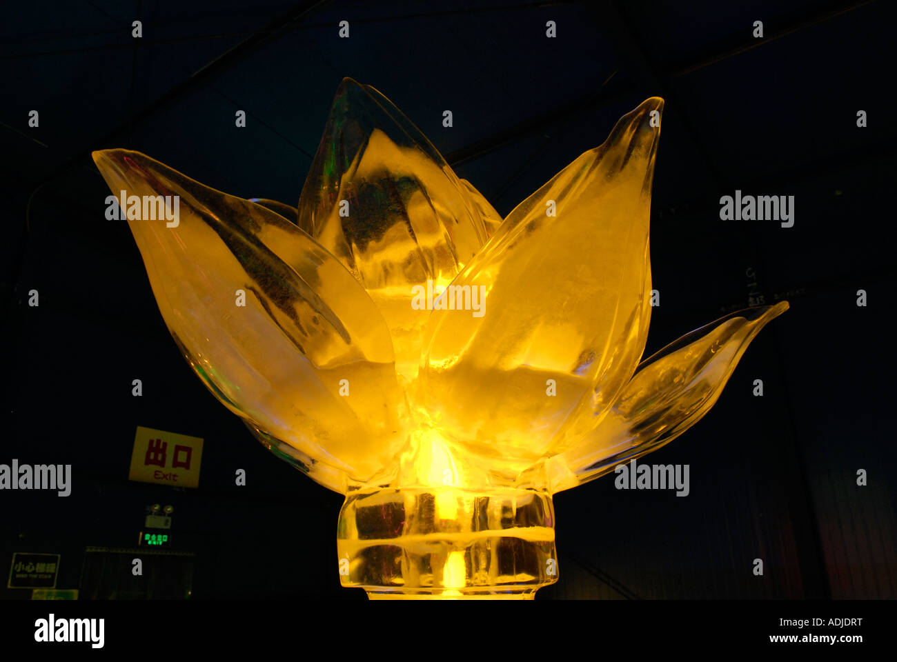 Lotus flower Ice sculpture at the Ice and Snow Sculpture Festival in ...