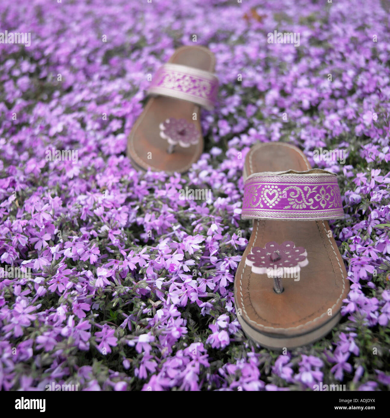 a pair of sandle in a flower garden Stock Photo - Alamy