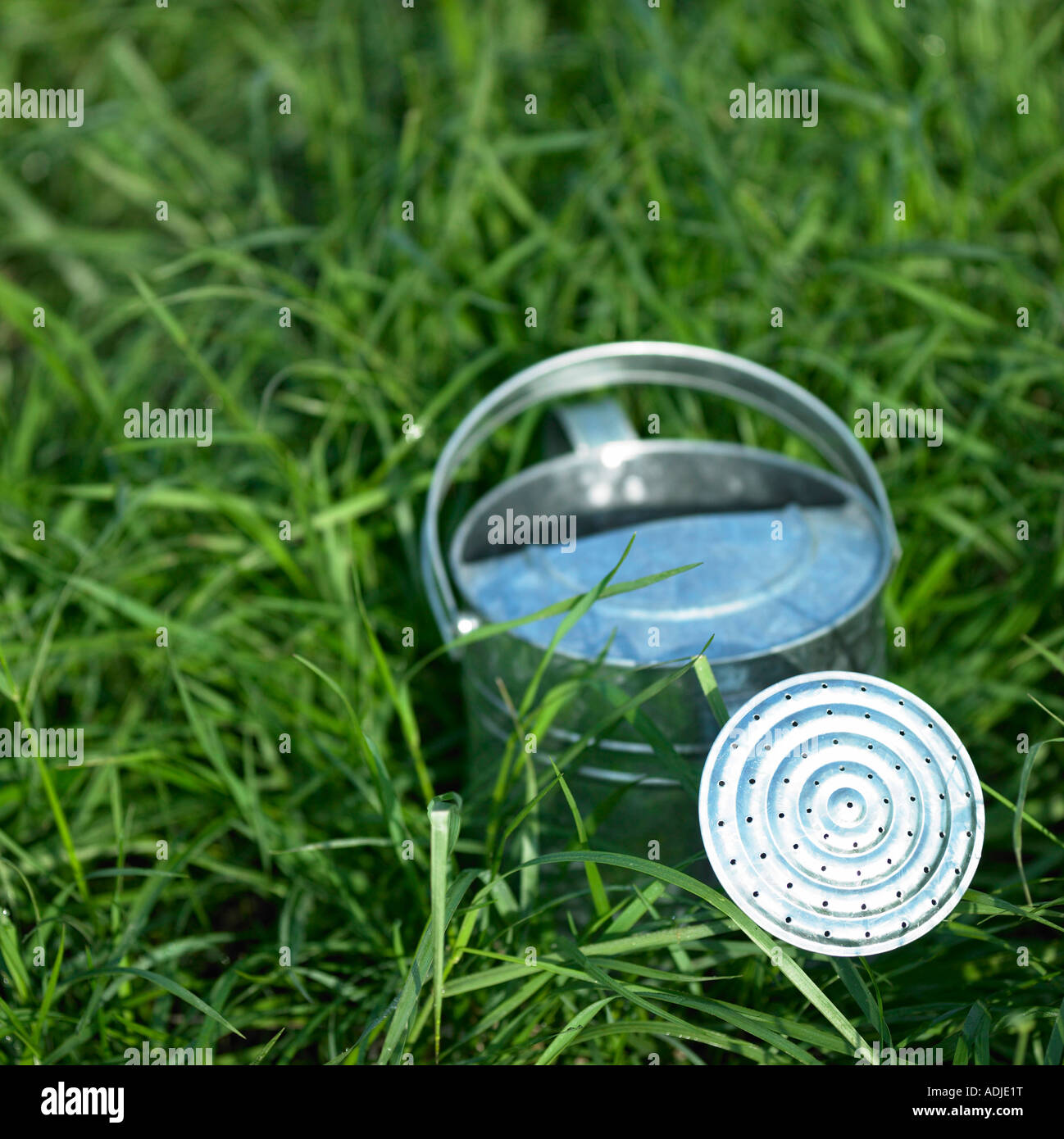 a watering pot Stock Photo - Alamy